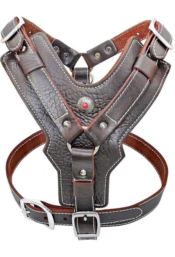 Signature K9 Harness | atelier-yuwa.ciao.jp