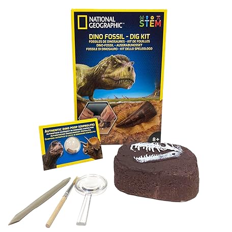 Mua National Geographic Dinosaur Dig Kit - Fascinating Excavation Kits ...