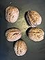 Yupik California Walnuts in Shell (Natural), 1Kg: Amazon.ca: Grocery