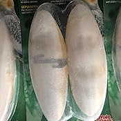 Amazon.com : (3 Pack) Living World Cuttlebone, Large, 6 Total ...