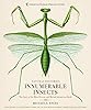 Innumerable Insects: The Story of the Most Diverse and Myriad Animals ...