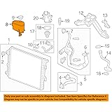 Amazon.com: ACDelco 22866587 GM Original Equipment Radiator Surge Tank ...