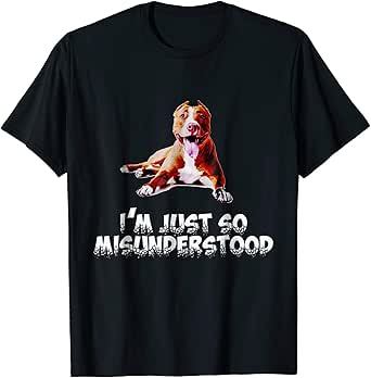 Amazon.com: I'M JUST SO MISUNDERSTOOD T SHIRT: Clothing