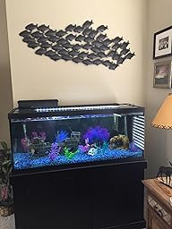 Amazon.com: Deco 79 Metal Fish Wall Decor, 53 by 20-Inch: Home & Kitchen