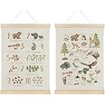 Amazon.com: Qvapt Woodland Animal Alphabet Poster,Abc Posters for ...