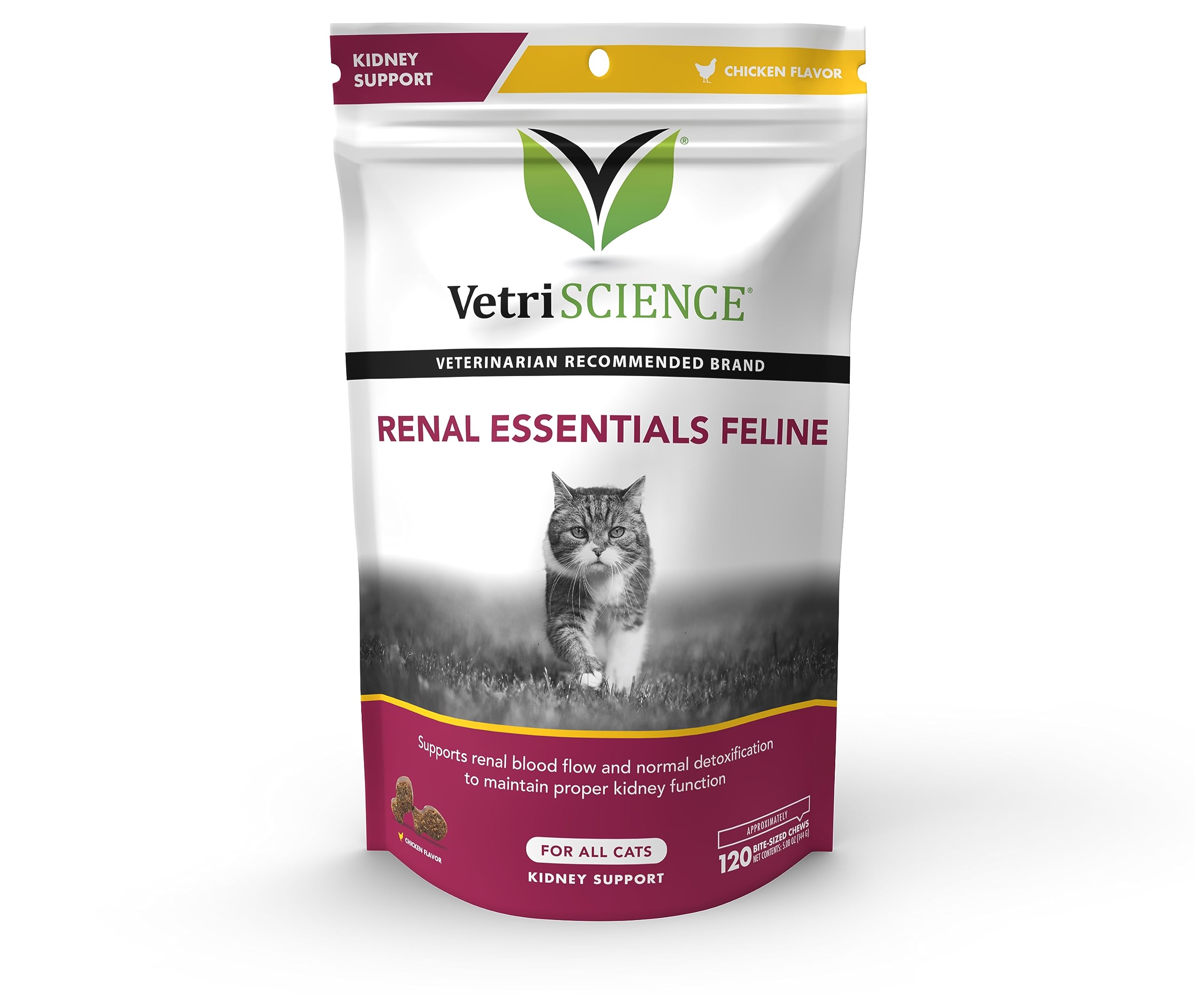 Mua VetriScience Renal Essentials Feline Kidney Supplement for Cats ...