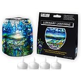 Amazon.com: MODGY Luminary Lanterns Floating LED Candles with Batteries ...
