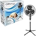 Amazon.com: PAMI 16” Oscillating Pedestal Fan - Portable Floor Fan With ...