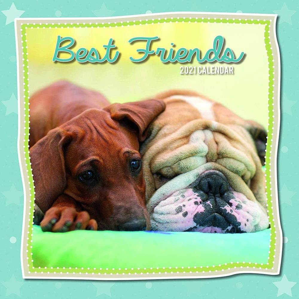 Amazon.com : 2021 Wall Calendar - Best Friends Calendar, 12 x 12 Inch ...