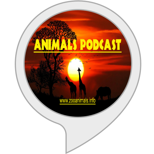 Amazon.com: Animals Podcast : Alexa Skills