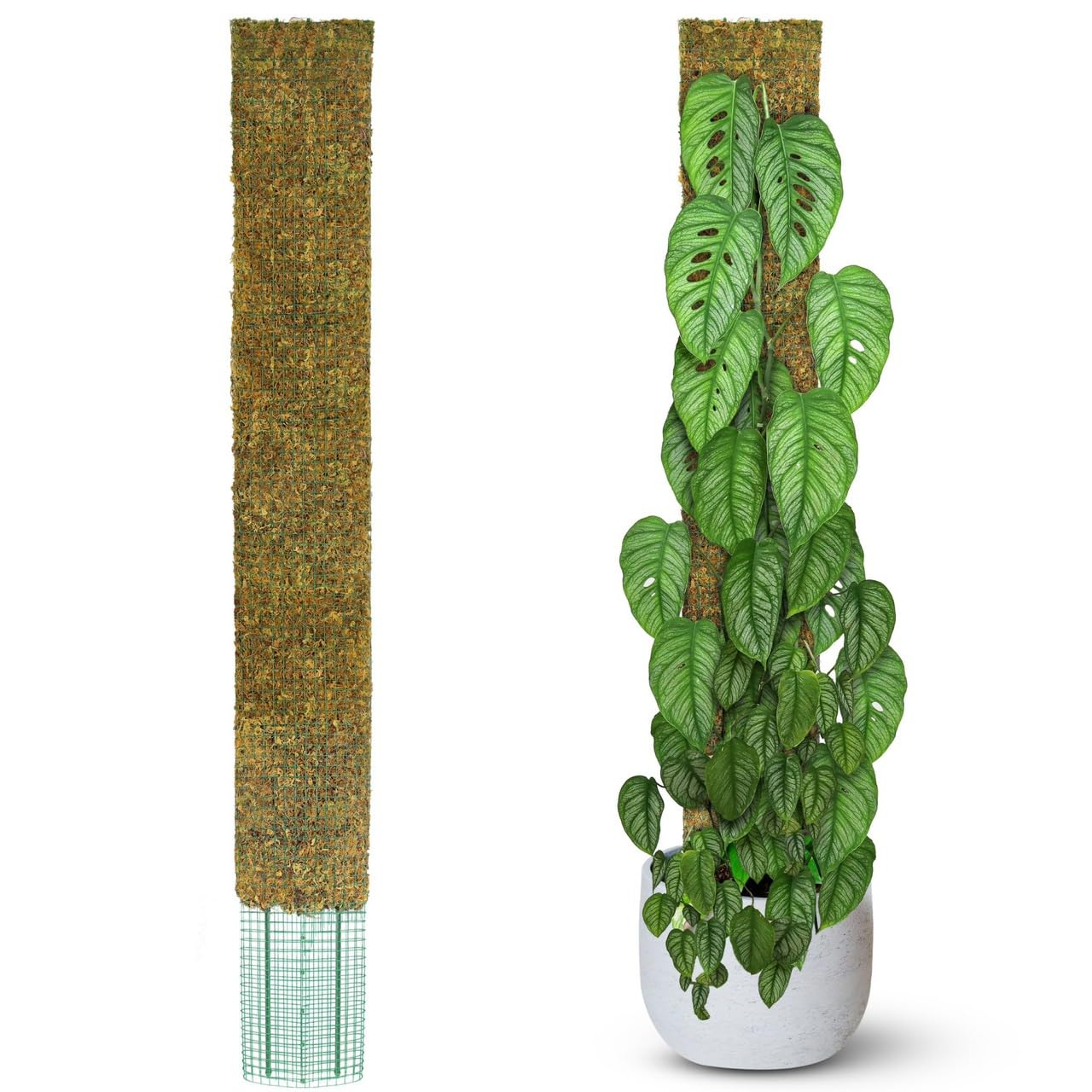 DUSPRO 59’’ Flat Mesh Moss Poles for Climbing Plants Monstera Flat ...