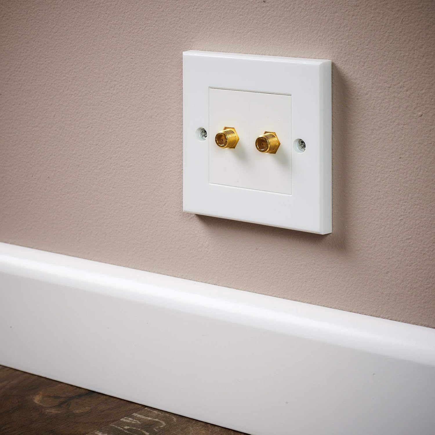 F Type (Satellite) Coax Faceplates (2 x F Type Coax Port) – BigaMart