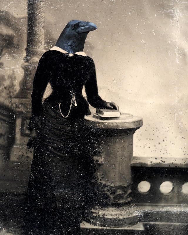 Amazon.com: Victorian RAVEN LADY crow woman bird portrait feathered ...