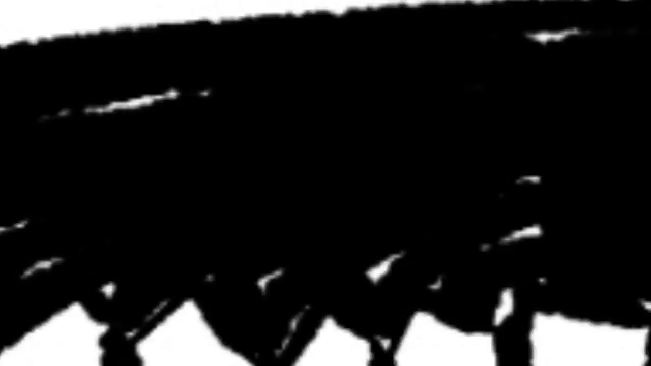 Amazon.com: The Super Life of Ben Braver (9781626727106): Marcus ...