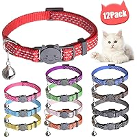 Amazon.com New Releases: The best-selling new & future releases in Cat ...