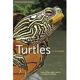 Amazon.com: Lizards and Snakes of Alabama (Gosse Nature Guides ...