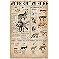 Amazon.com: Wolf Knowledge Metal Sign Wall Decor Aluminium Poster ...