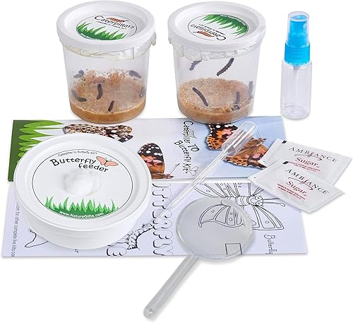 Nature Gift Store 10 Live Caterpillars for Butterflies Kit - Refill for ...