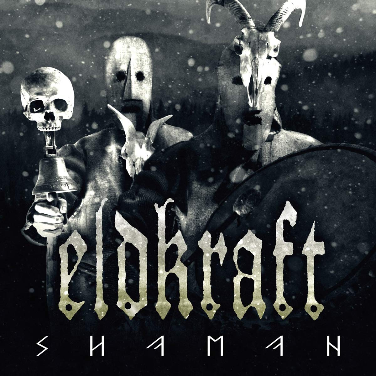 Shaman [Vinyl LP]: Amazon.de: Musik-CDs & Vinyl