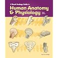 Visual Analogy Guide to Human Anatomy & Physiology: Krieger, Paul A ...