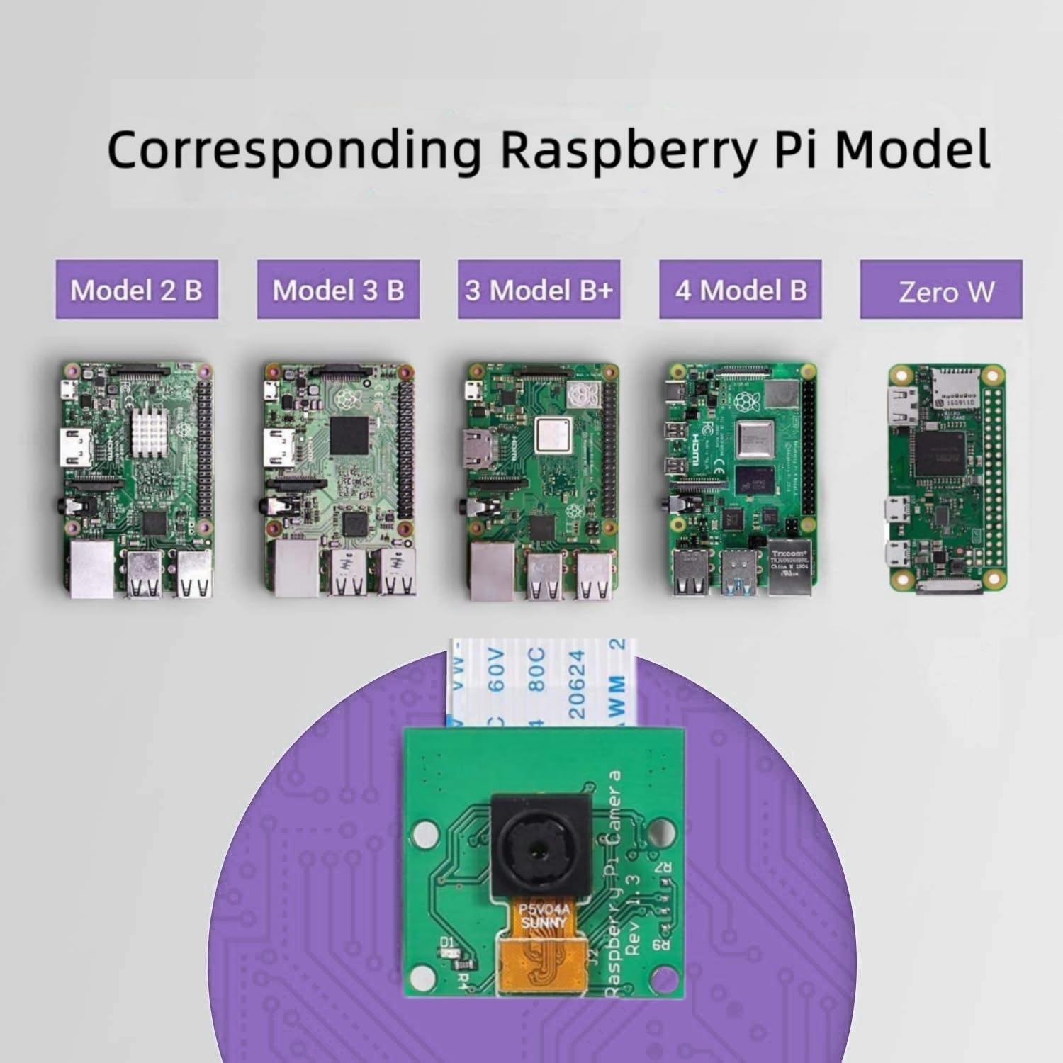 Mua RasTech for Raspberry Pi Camera Module 5MP 1080p OV5647 Webcam ...