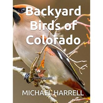 Colorado Backyard Birds
