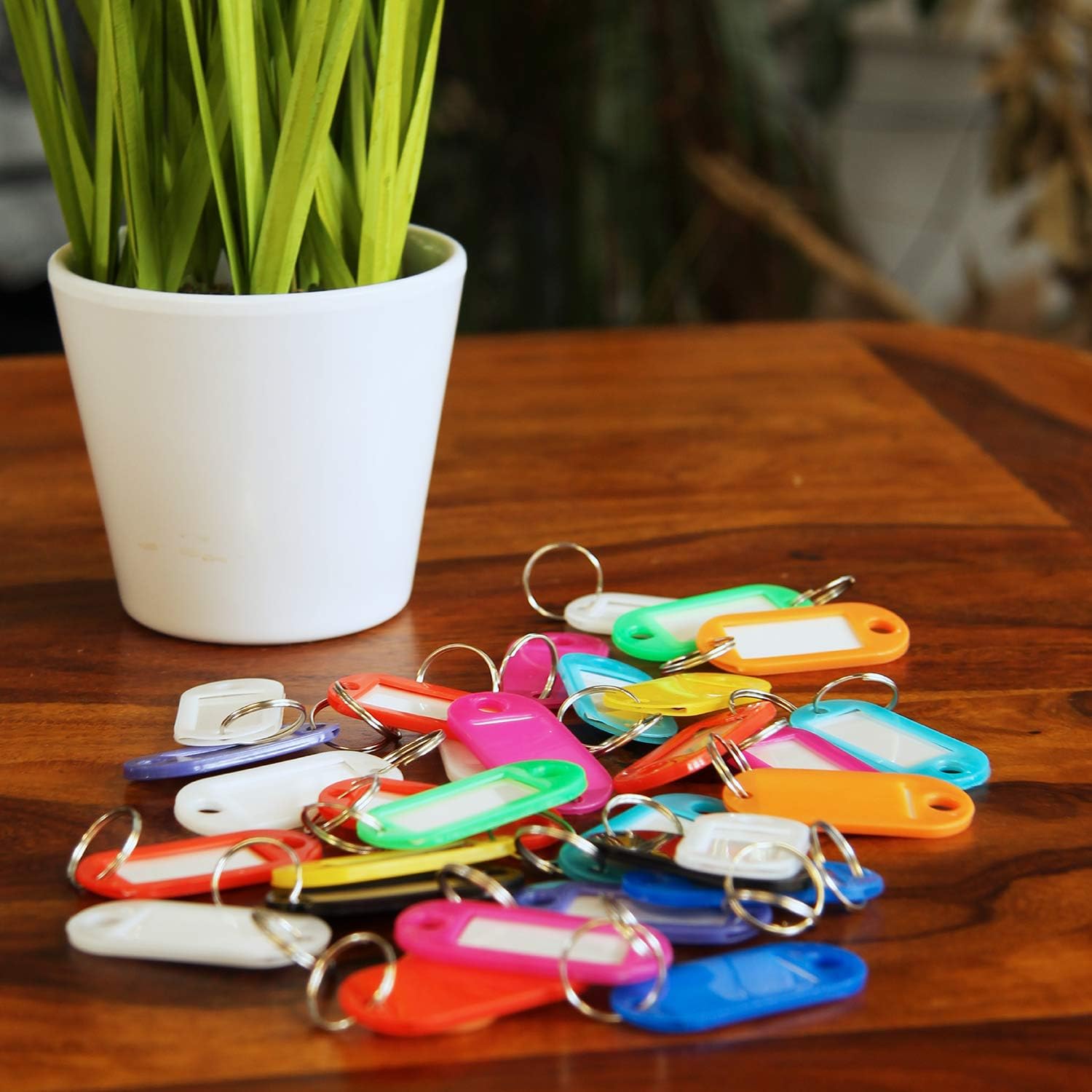 WINTEX Key Labels – Coloured Plastic Key Ring Tags with Labels – Pack ...