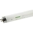 Sylvania 21999 - FO32/741/ECO Straight T8 Fluorescent Tube Light Bulb ...