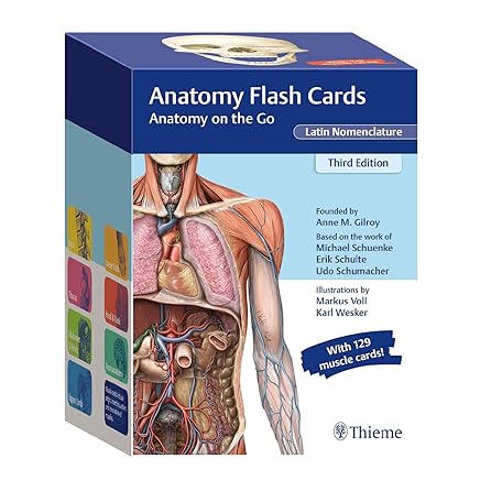 Mua Cards trên Amazon Mỹ chính hãng 2025 | Giaonhan247