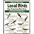 Birds of San Francisco and the Bay Area (City Bird Guides): Joseph ...