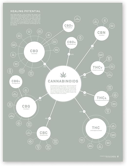 Cannabinoid Infographic Chart Art Print, Medical Cannabis Effects ...