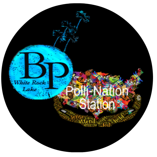 Polli-Nation Station:Amazon.de:Appstore for Android