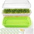 Amazon.com : FELISTORY 12 Pack Green Seed Sprouter Trays with Lid, Soil ...