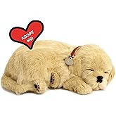 Amazon.com: Perfect Petzzz - Original Petzzz Black Lab, Realistic ...