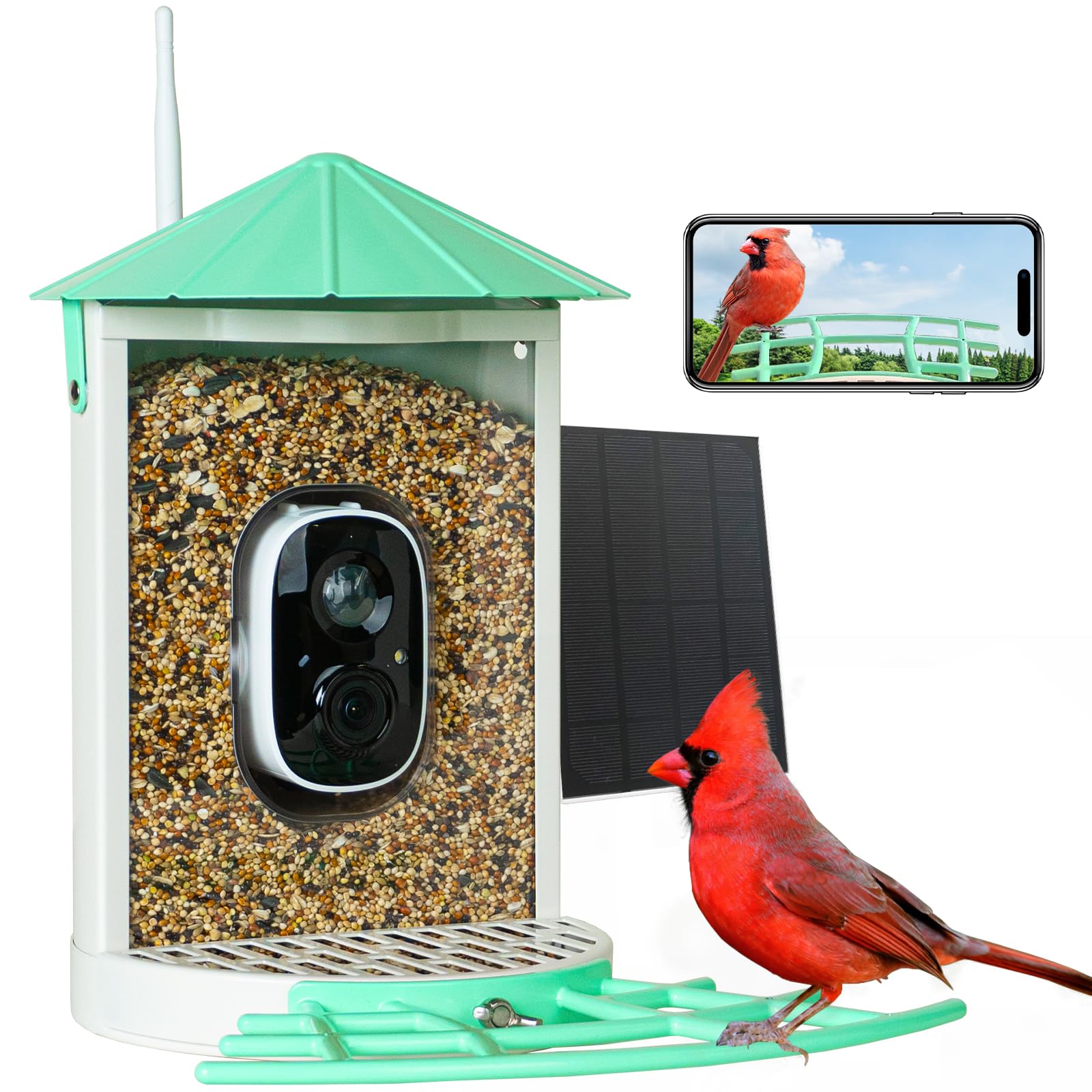 Birdkiss Bird Feeder Camera Smart: Wireless Bird House with Solar Panel ...