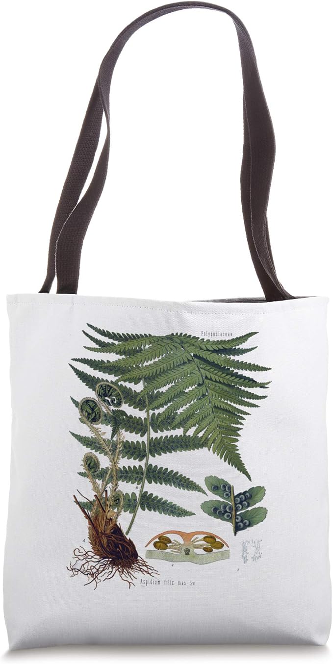 Amazon.com: Fern Botanical Plant Botany Tote Bag: Clothing
