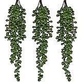 Artificial Hanging Succulent Plants – 2 Pack Faux String of Pearls ...