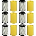 Amazon.com : 793569 793685 Air Filter Compatible with B&S 793569 4241 ...