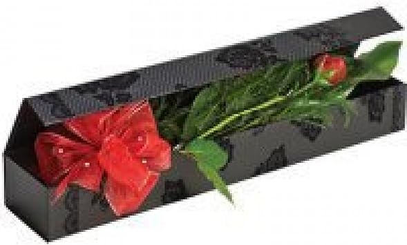 Single Red Rose Gift Box Delivered FRESH FLOWERS guarantee: Amazon.co ...