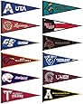 Amazon.com : Sun Belt Conference College Pennant Set : Sports Related ...