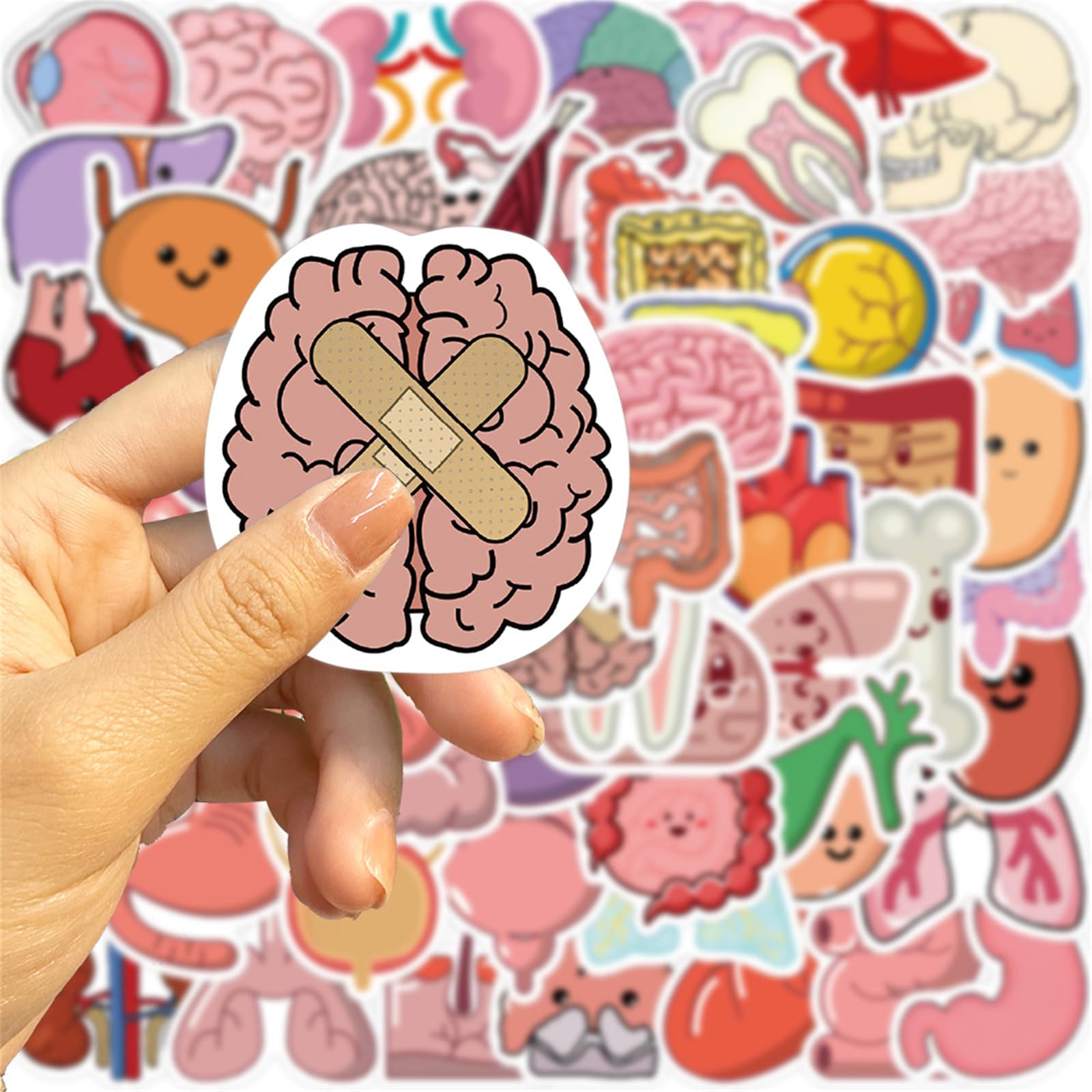 Mua 50Pcs Anatomy Stickers, Human Anatomy Decals Organs Stickers Pack ...