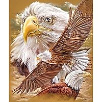 Amazon.com: SENQAO Eagle Diamond Painting Kits for Adults, 5D Eagle ...