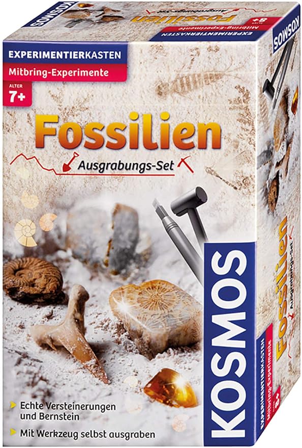 Kosmos 630461 - Fossilien Ausgrabungs-Set, Grabe echte Versteinerungen ...