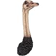 Amazon.com: Design Toscano Ostrich Bird Trophy Wall Sculpture 28 Inches ...