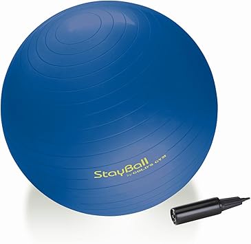 Amazon.com: Gold's Gym 65 cm Stay Ball: Sports & Outdoors