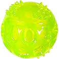 Pet Supplies : Chase 'n Chomp Durable TPR Squeaking Fetch Ball Dog Toy, 2.5" : Amazon.com