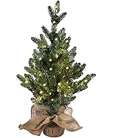 Amazon.com: MorTime 24 Inch Mini Artificial Christmas Tree with 50 LED ...
