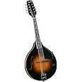 Amazon.com: Kentucky, 8-String Mandolin, Sunburst (KM-140) : Musical ...