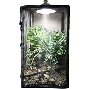 Amazon.com: Educational Science Butterfly Cage-Butterfly, Moth, Insect ...