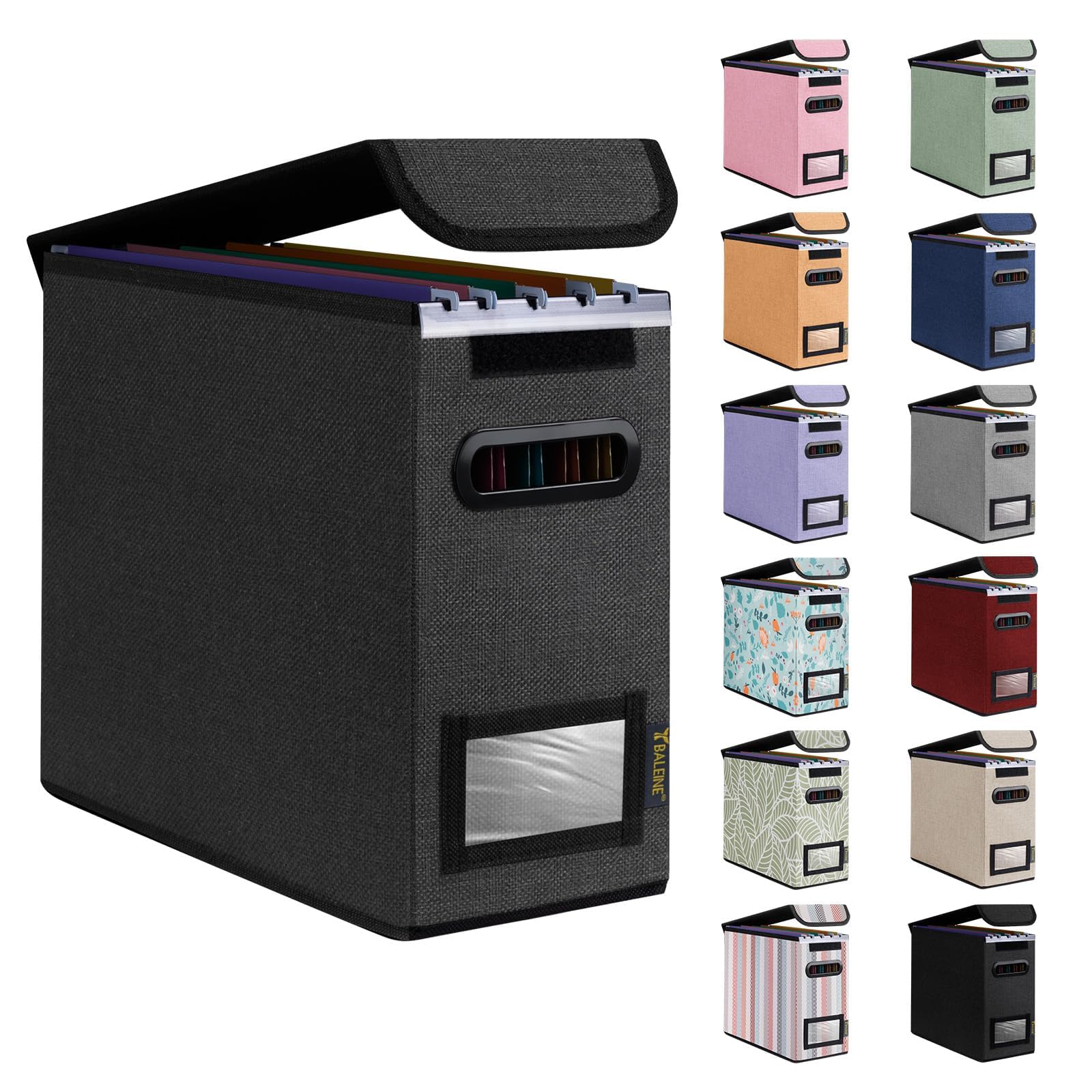 BALEINE File Organizer Box with Lid, Collapsible File Folder Organizer ...